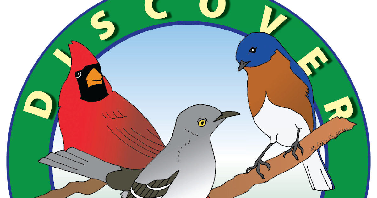 Discover Birds: About Us