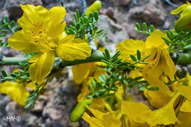 Lenin Cardozo - Entrevistas / Artículos / Videos: Parque Ecoturistico ...