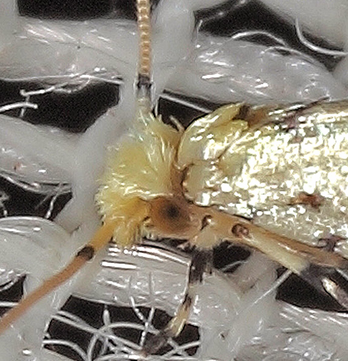 BunyipCo: September 2014