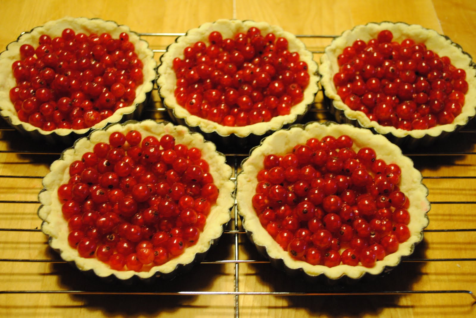 Poppyseeds and Tiger Lilies: Fresh Red Currants
