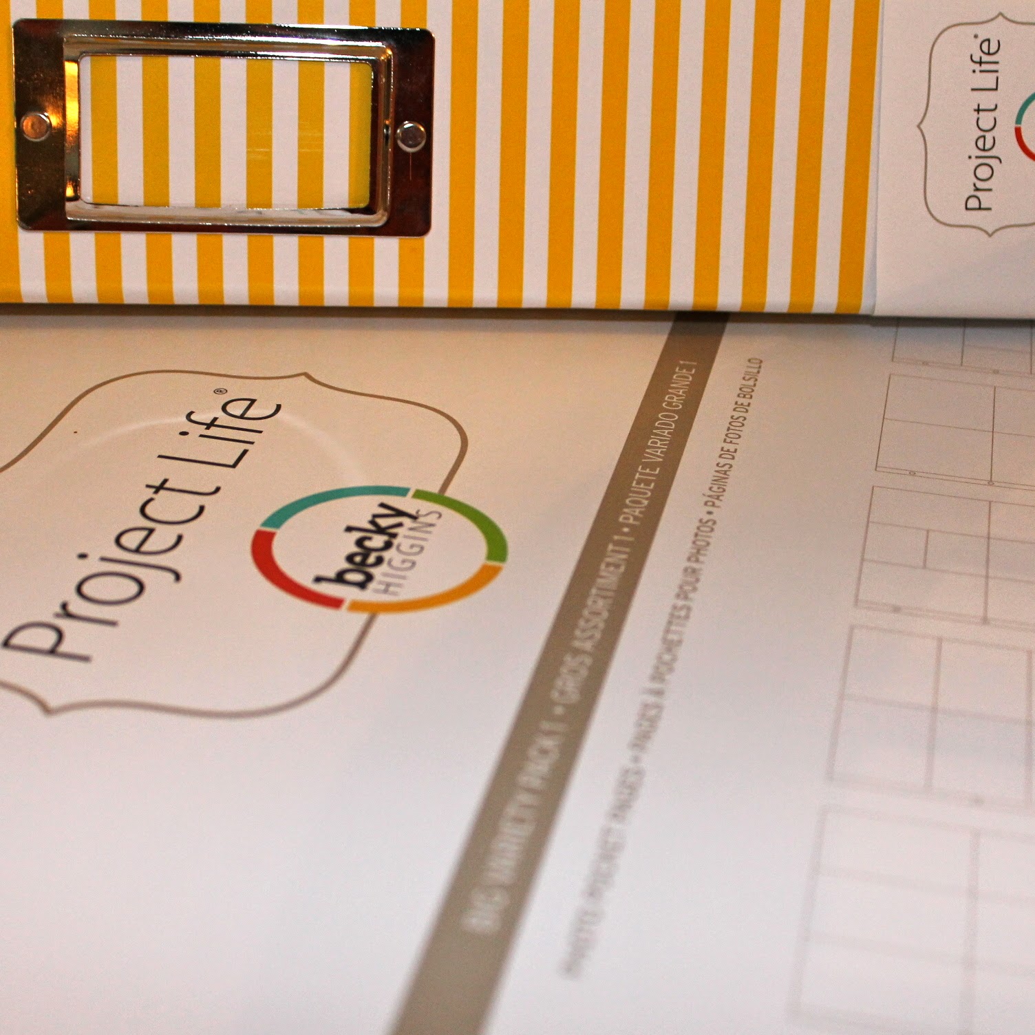 Little Lady in the South: Keeping Memories {with Project Life}