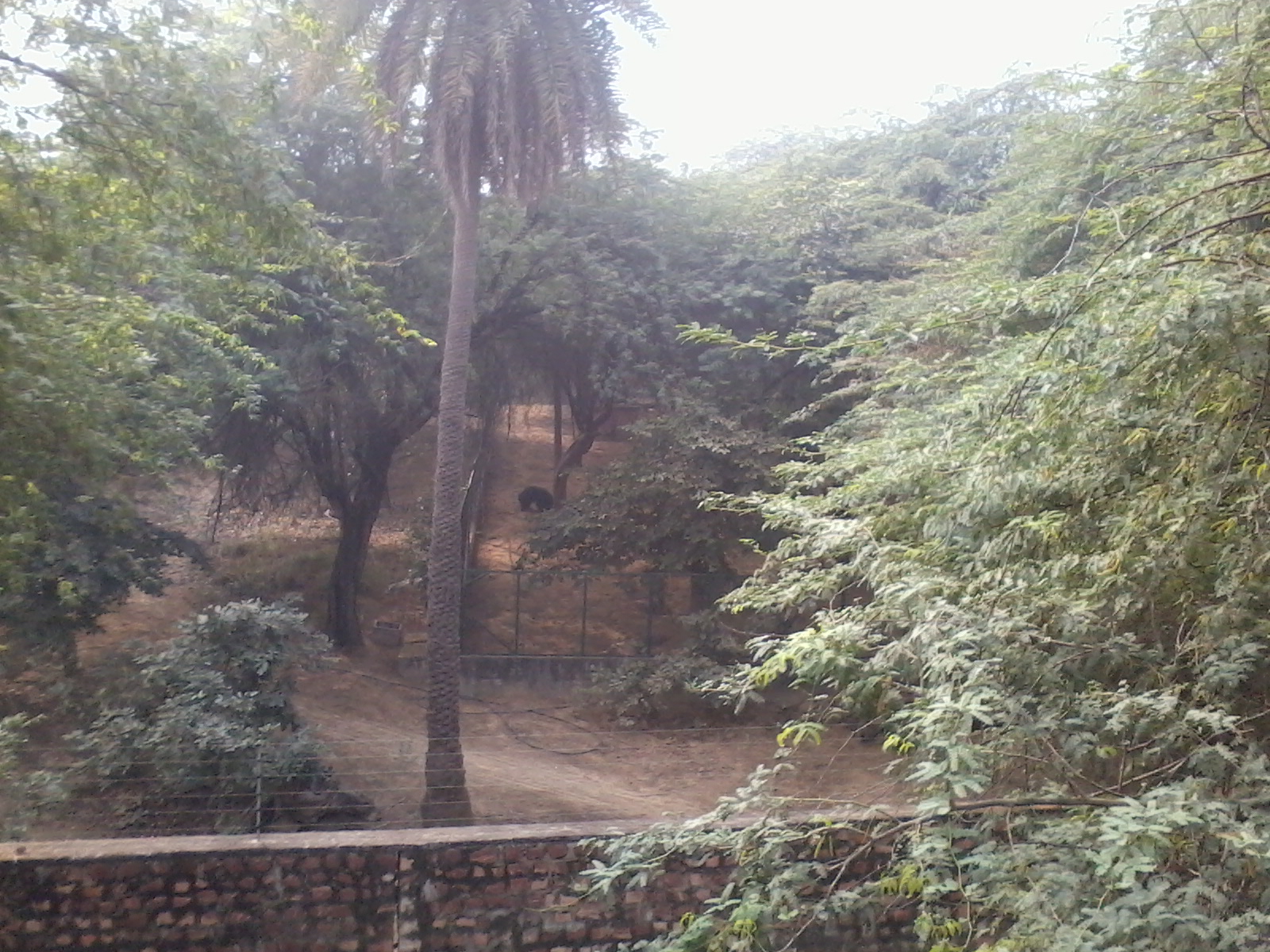 Safari at Sur Sarovar Bird Sanctuary