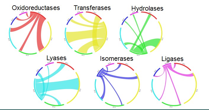 Principles of Protein Structure: Mapping the Evolution of Enzyme Function