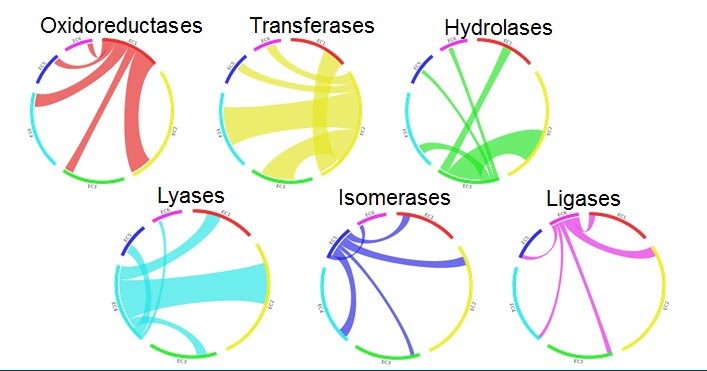 Principles of Protein Structure: Mapping the Evolution of Enzyme Function