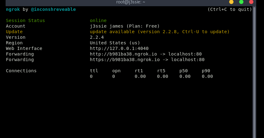 How to open port forwarding without router with ngrok