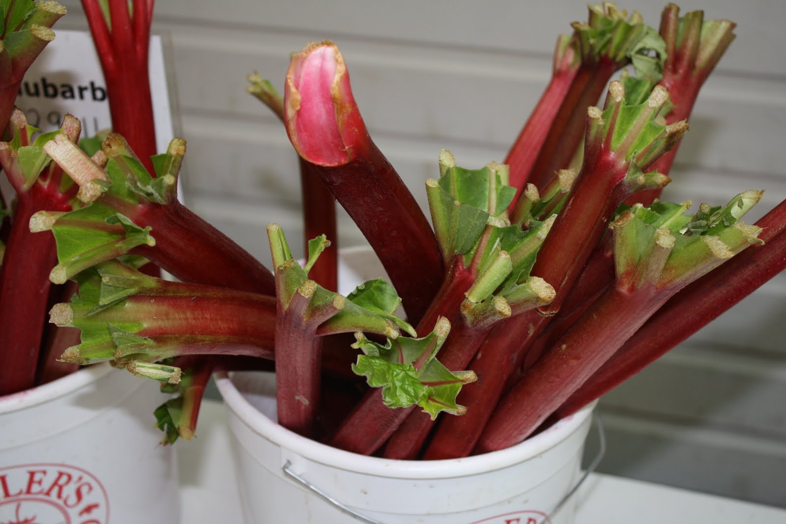 Confessions of the Crafty ADD: June 2011