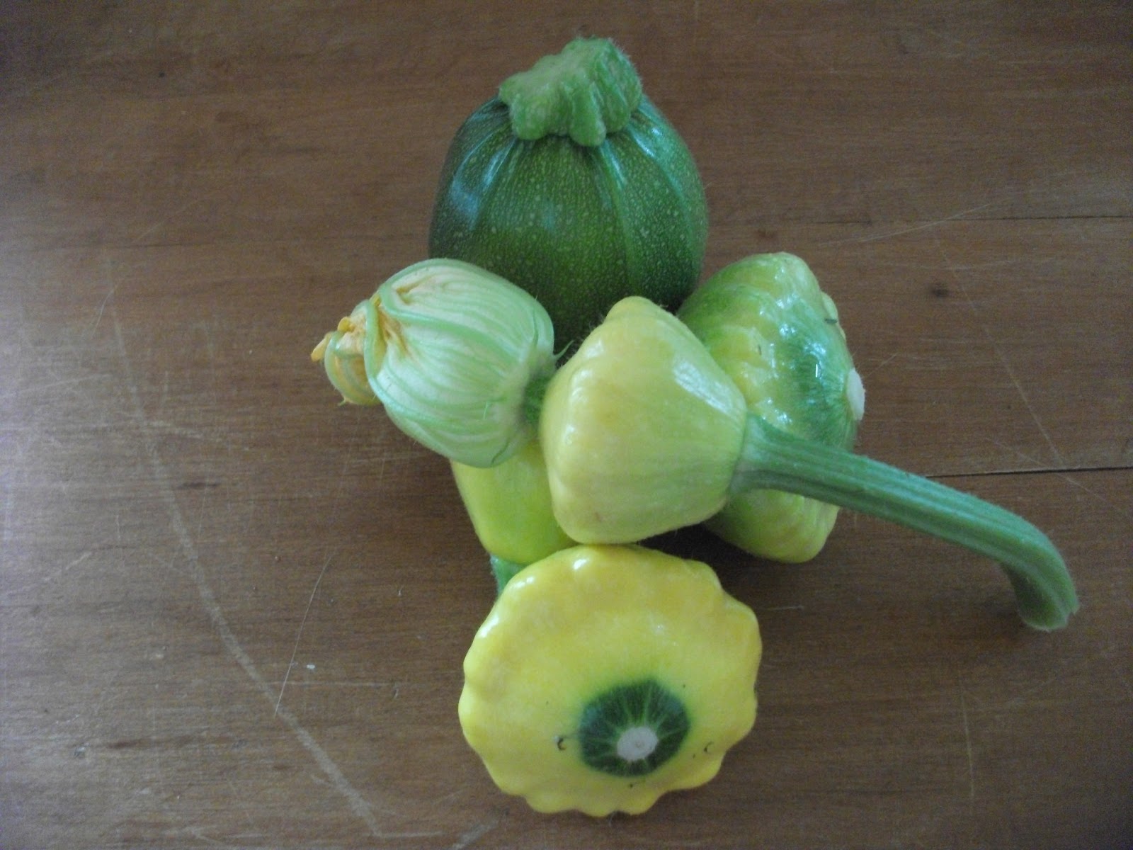 Cold Hands Warm Earth: Patty Pan Squash