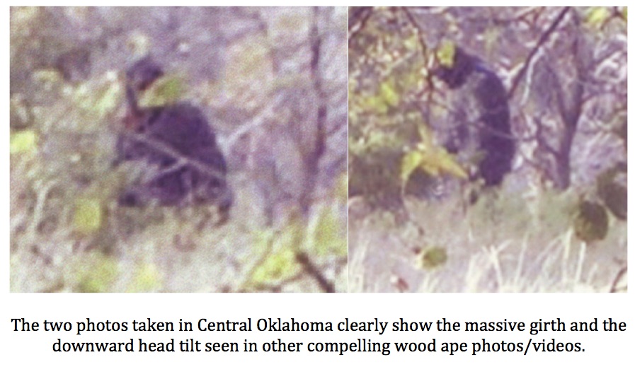 Texas Cryptid Hunter: The Best Bigfoot Photographic and Video Evidence