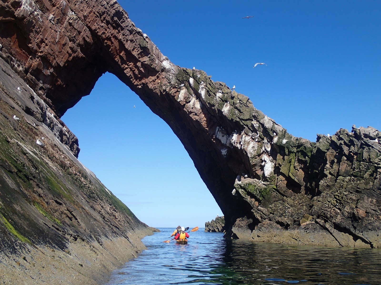 Mountain and Sea Scotland: A Transatlantic (sea kayak) Session
