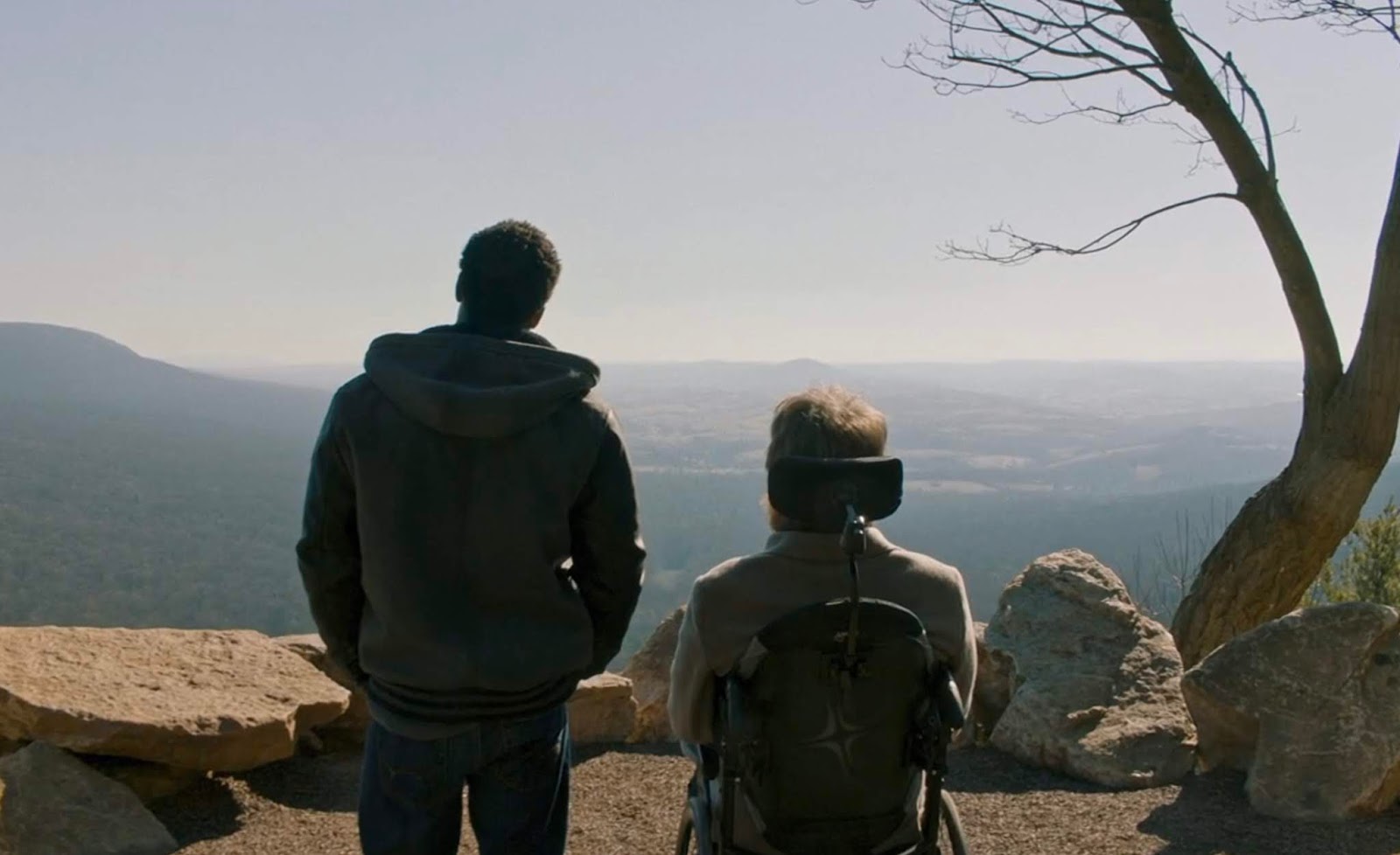 Jon Crunch: Movie Review: "The Upside"