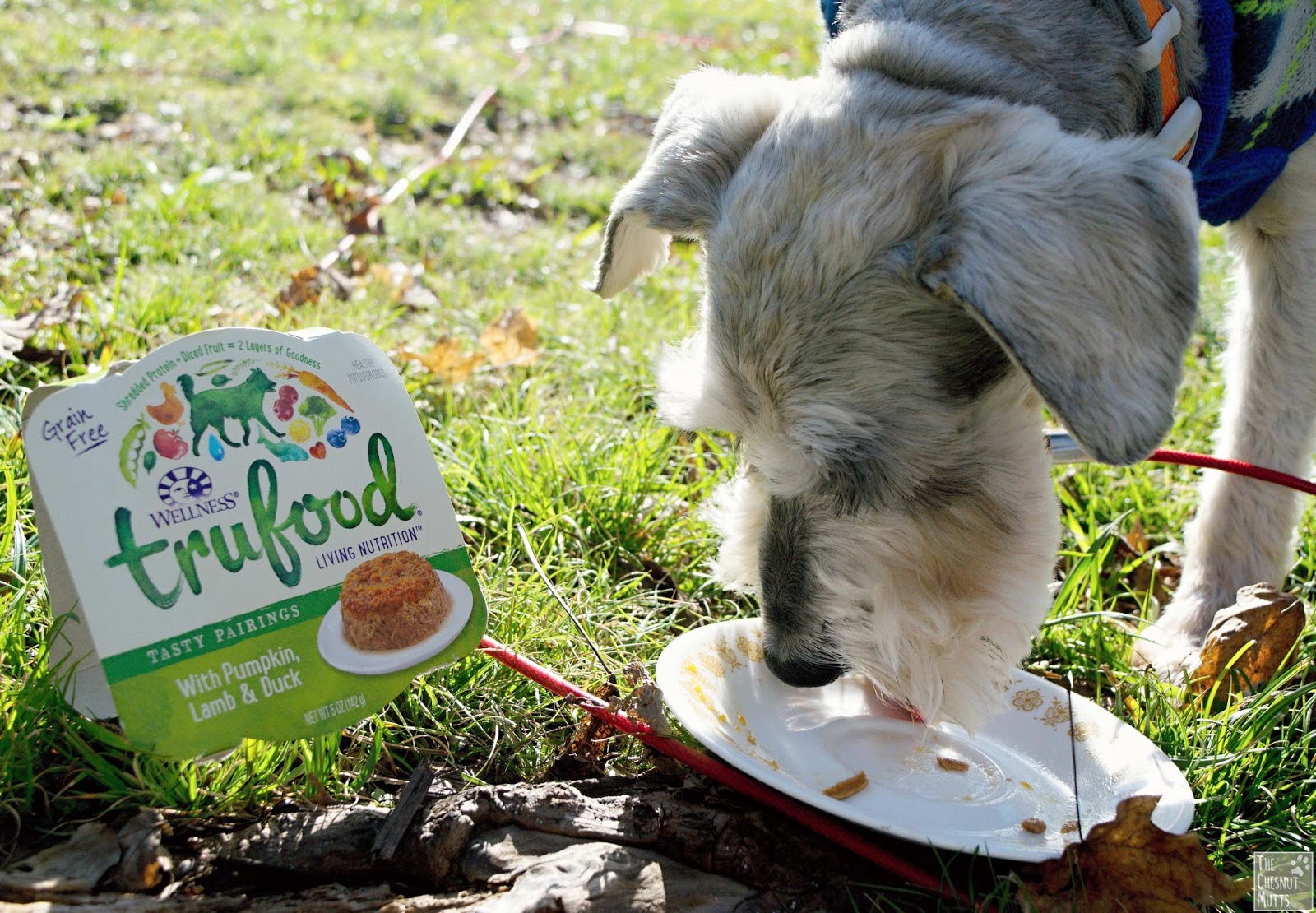 Review: Wellness® TruFood® Tasty Pairings Dog Food | The Chesnut Mutts