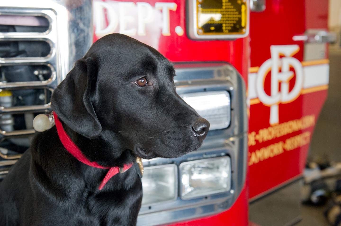 All Categories - onwebgoodsite