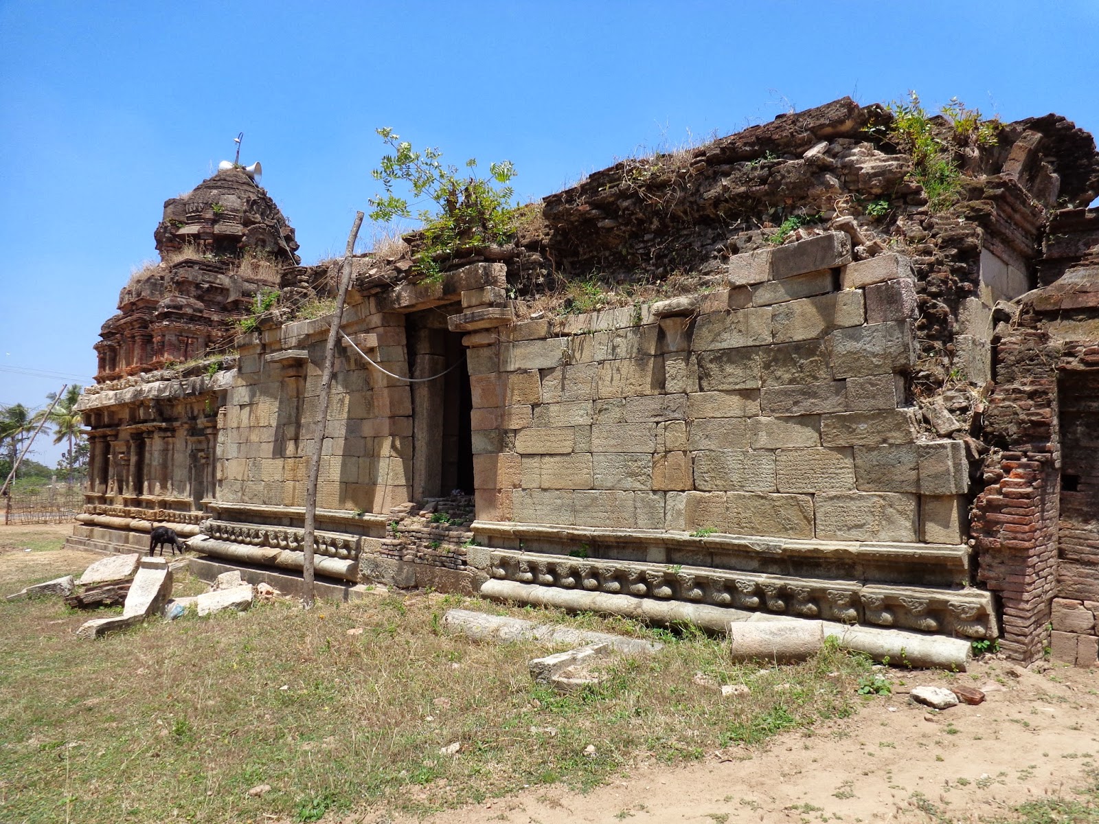 Shiva Krupa: Dilapidated Temples near Nannilam