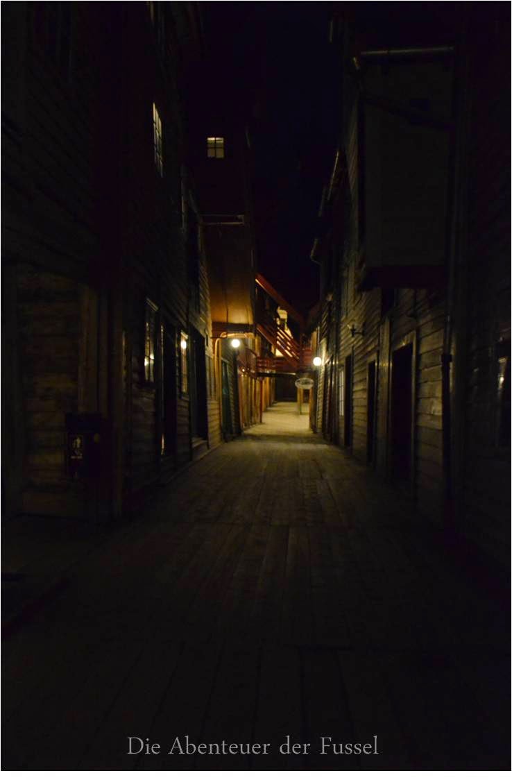 Die Abenteuer der Fussel