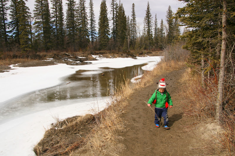 Family Adventures in the Canadian Rockies: Nature isn't far away in Calgary