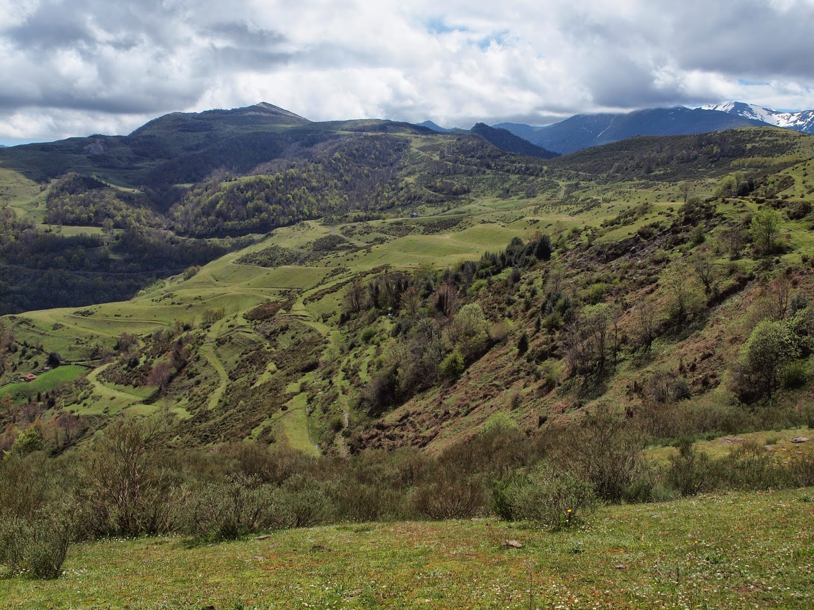 MONTEJUAN: Coto Bello - Renorios - Alto La Texera
