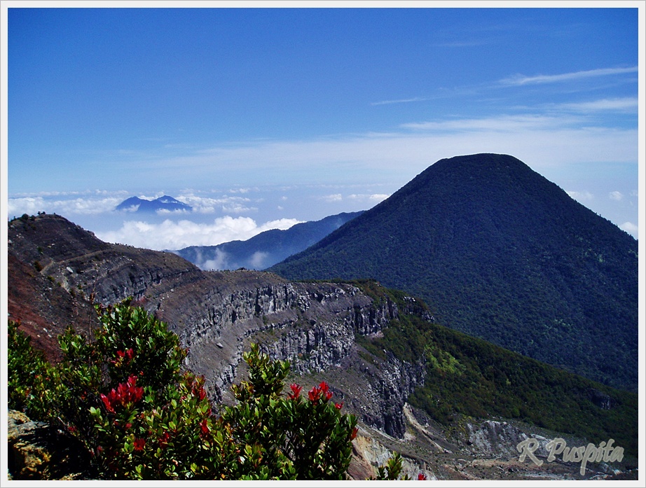 Live Is An Adventure: Mount Gede Adventure, Unforgettable Memories.
