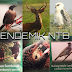 Mengenal Fauna "ENDEMIK" Nusa Tenggara Barat (NTB) - Hf Blog