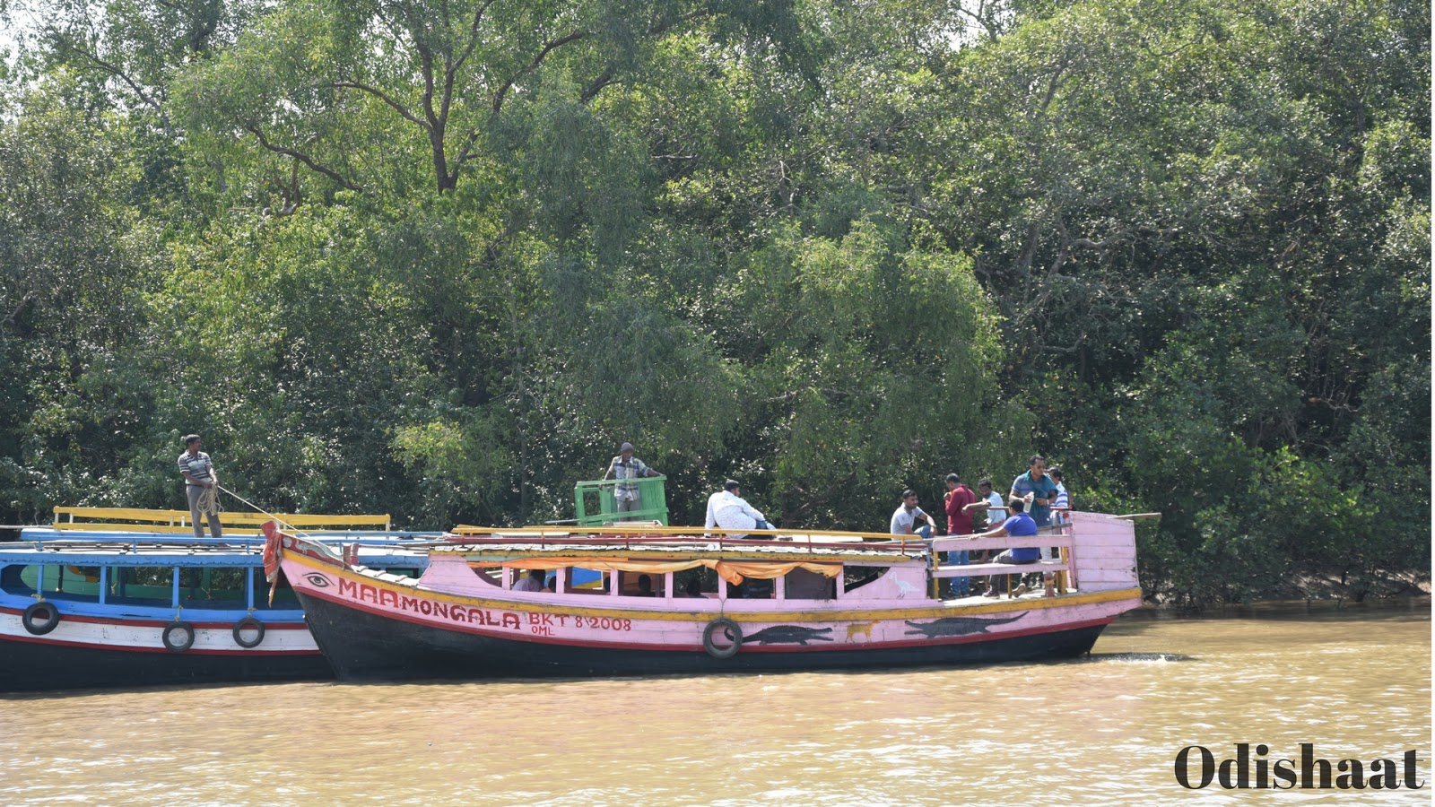 Bhitarkanika National Park - Wildlife Sanctuary - Beautifull Place