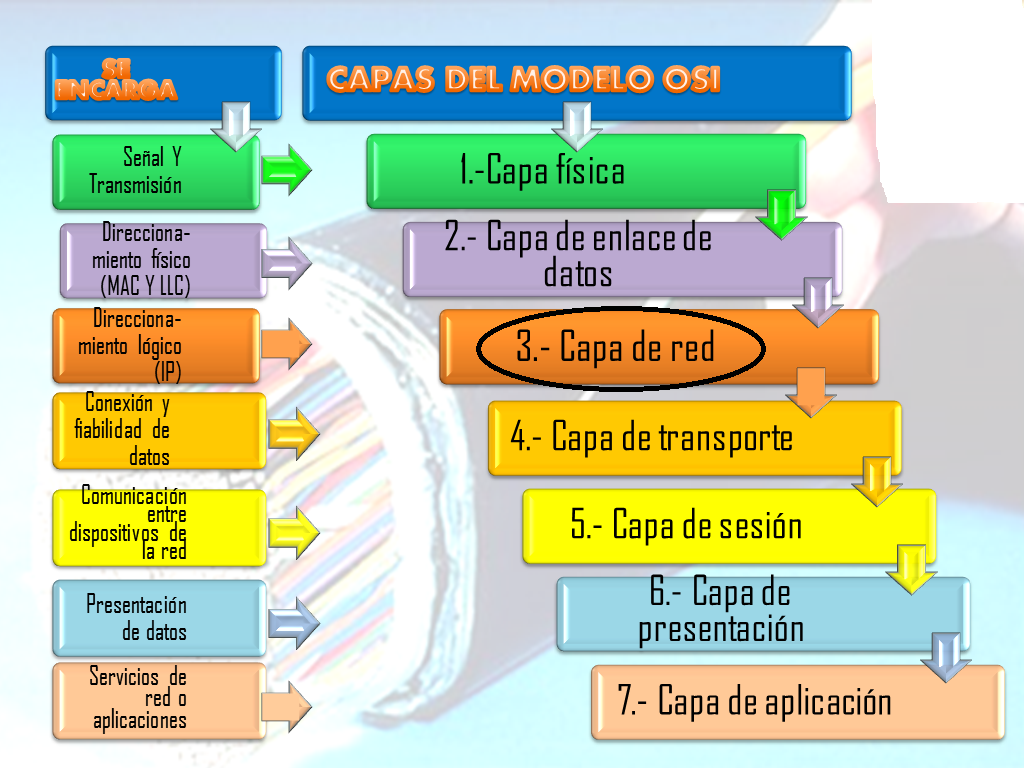 LIBRETA DE REDES LOCALES: TRABAJO TEMA 7