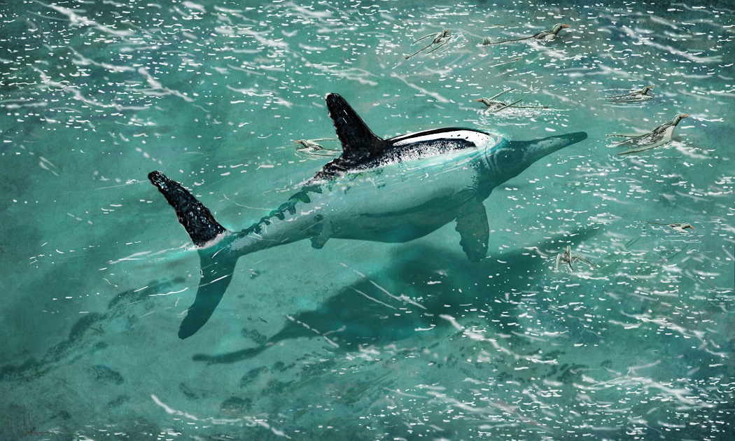 Noticias de Paleontologia: Ophtalmosaurus, un reptil marino del ...