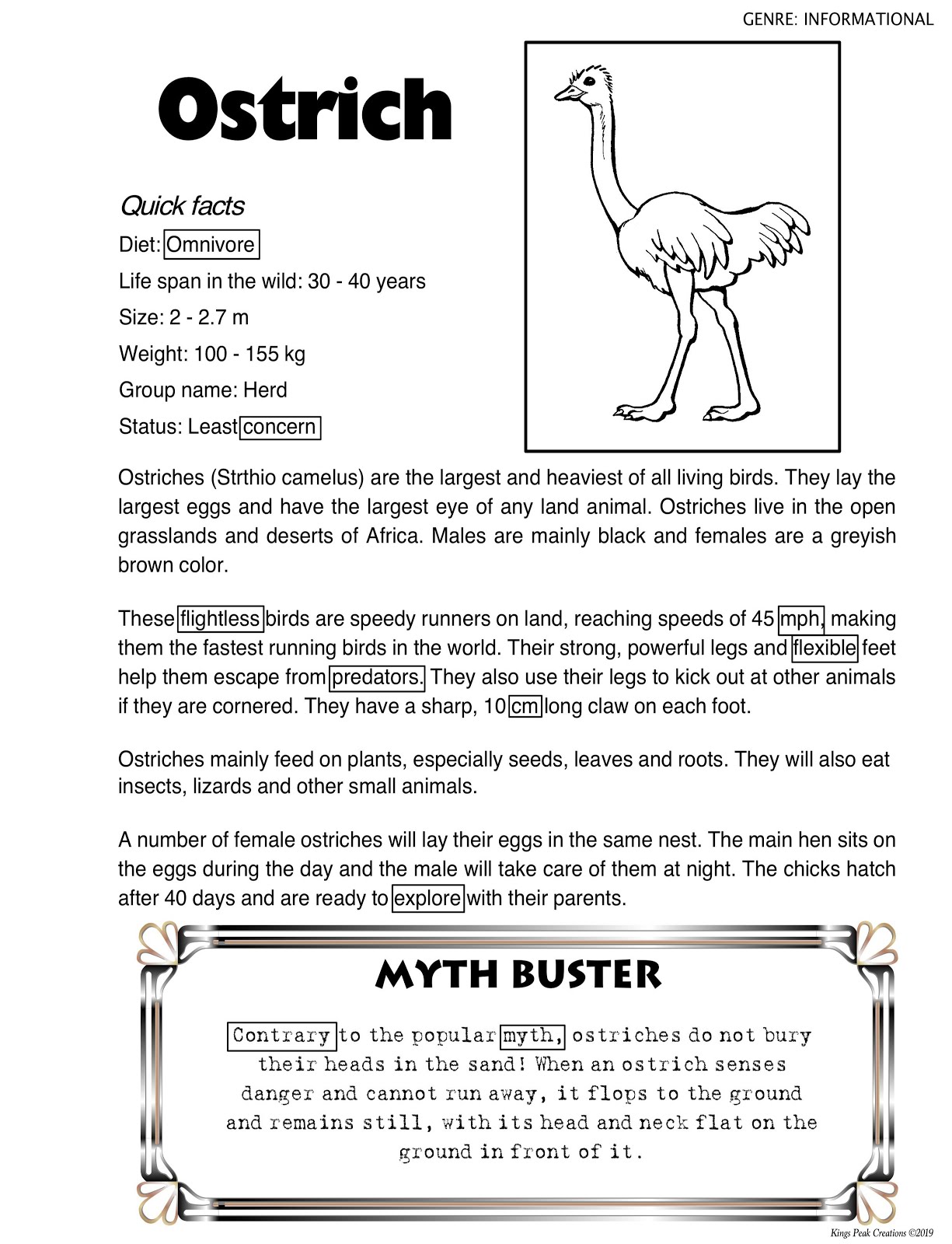 Reading With A Purpose: Ostrich