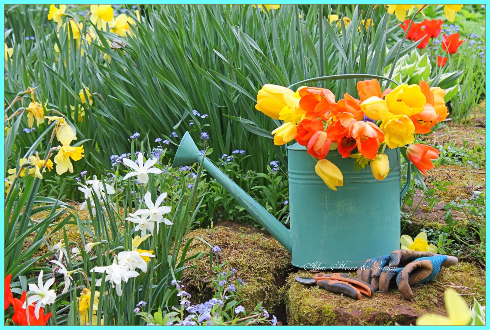 Aiken House & Gardens: Dreaming of our Spring Garden