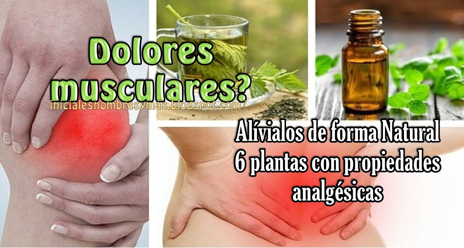 Iniciales Nombres y Más: 6 plantas con propiedades analgésicas, para ...