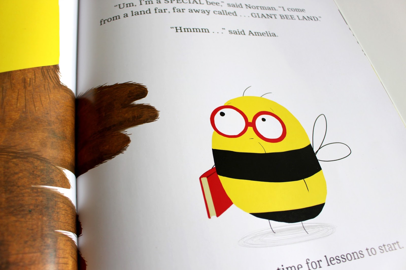 The Bookworm Baby: The Bumble Bear