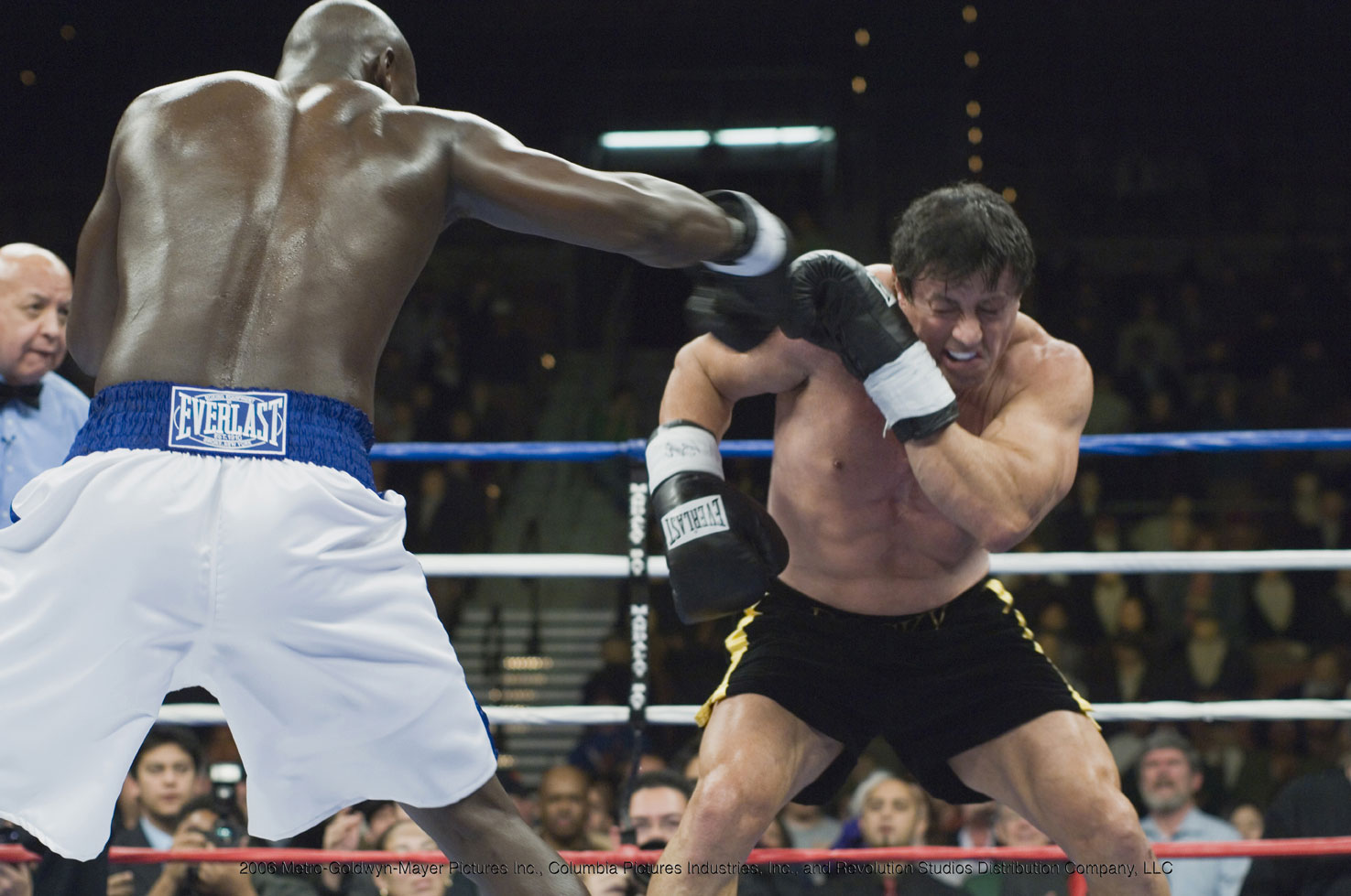 35 Curiosidades de la Saga de ROCKY