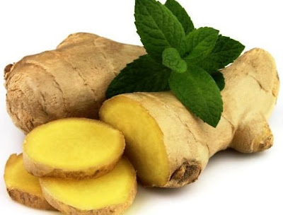 Manfaat Tanaman Jahe Untuk Kesehatan, Kecantikan dan Ibu Hamil - Blog ...