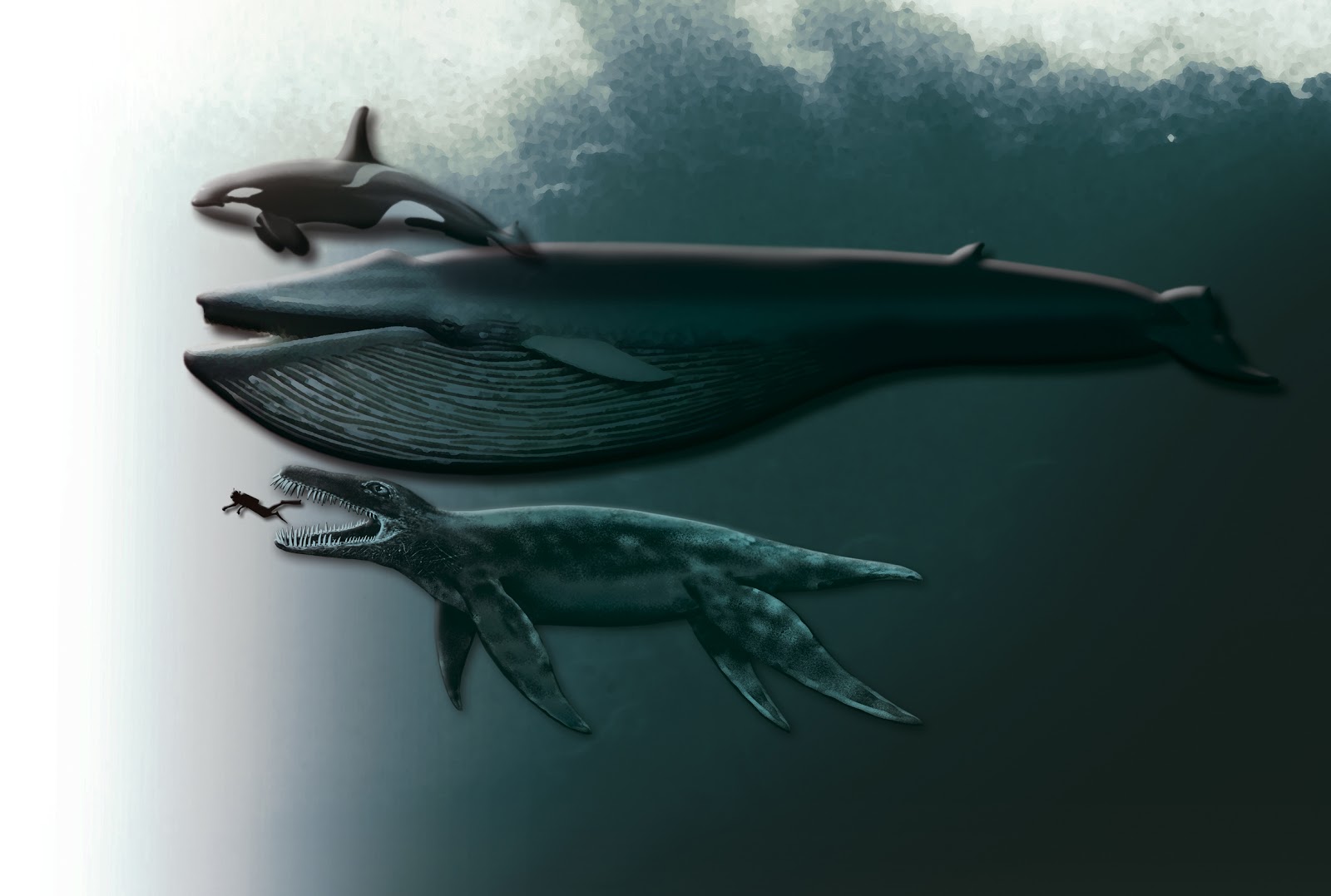 Species New to Science: [Paleontology • 2008] Enormous ‘Sea Monster ...