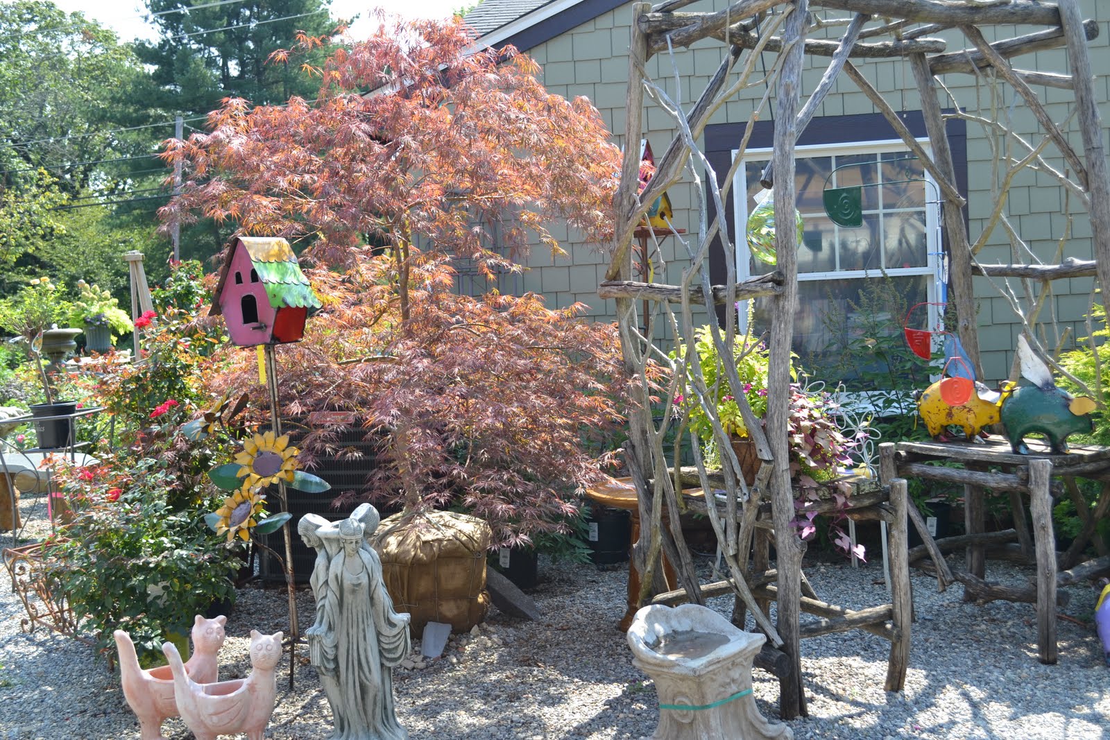 It's All About Purple: Calgo Gardens