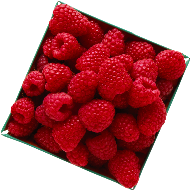 ForgetMeNot: Fruits - raspberries