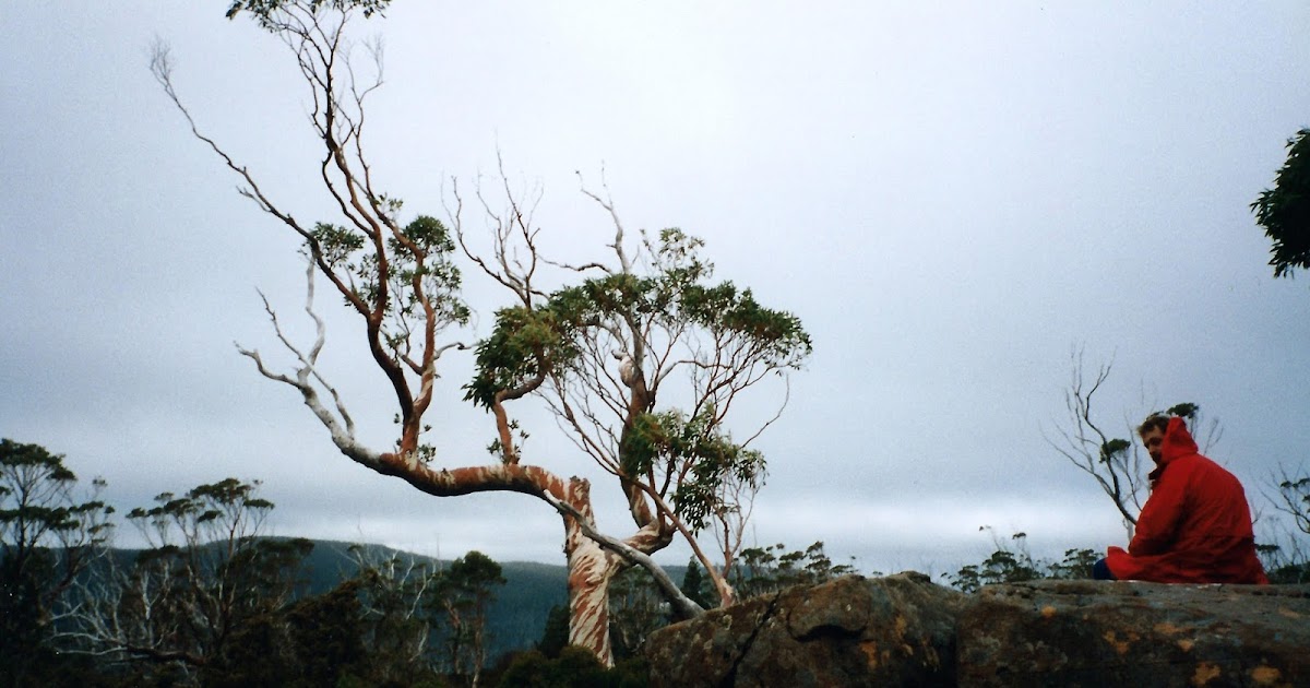 Goin' Feral One Day At A Time: Windy Ridge Hut to Pine Valley Hut ...