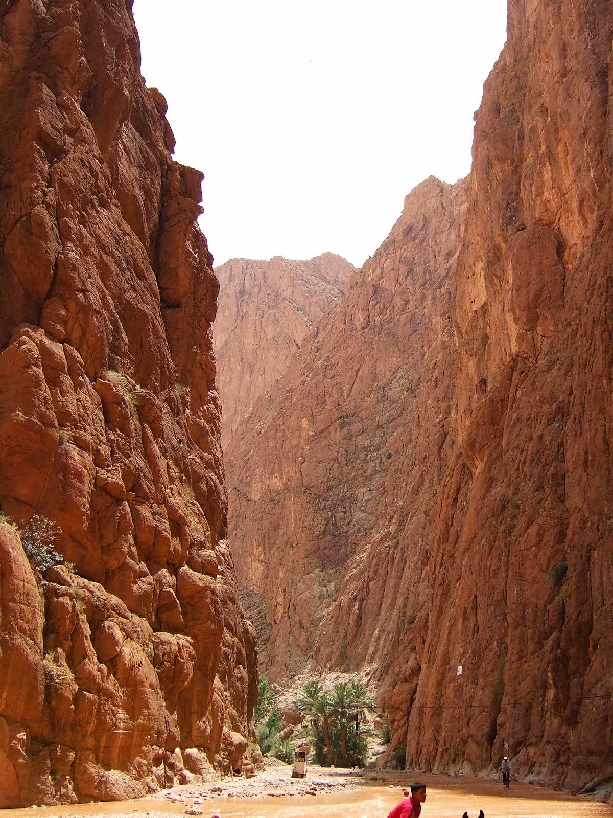 5-five-5: Todgha Gorge (Morocco)
