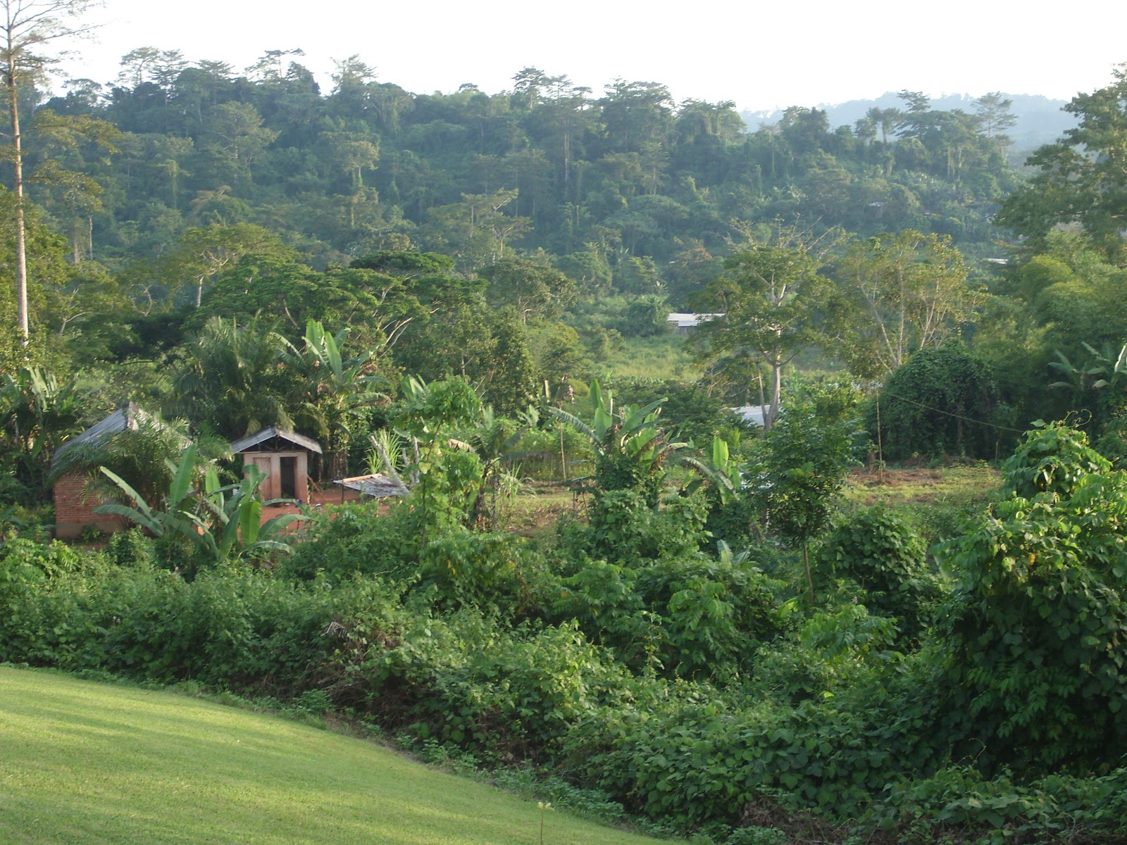 Reporting what God is doing through WWLAB...from here...to there ...