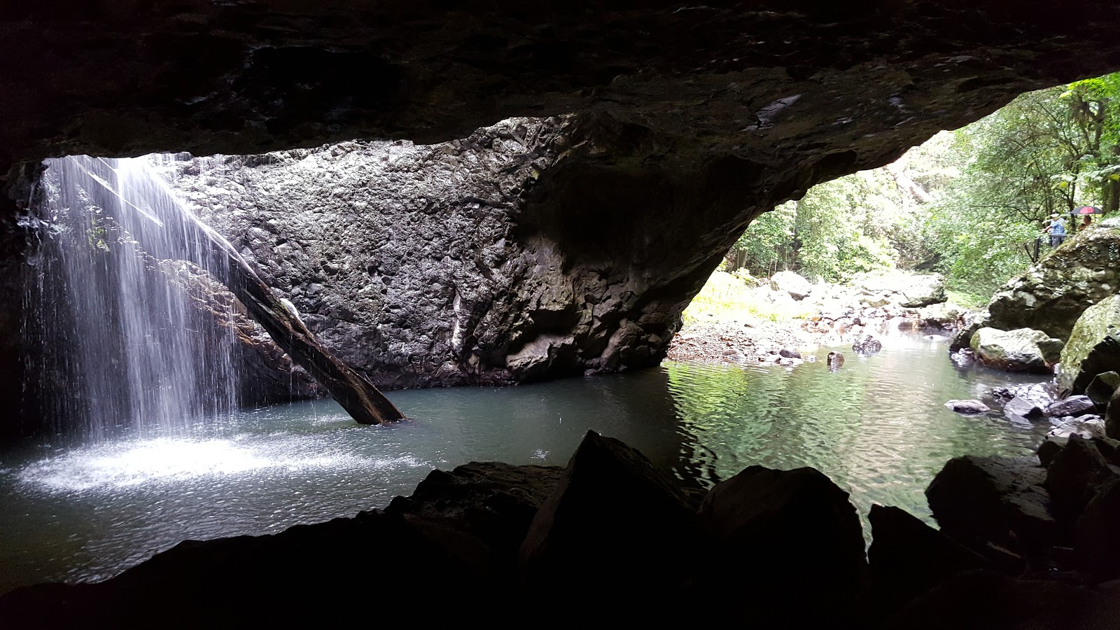 Reminiscences: Brisbane - Gold Coast Hinterland - Day 1