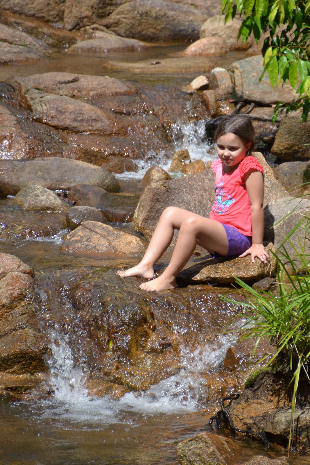 Life & Times: Mothar Mountain Rock Pools at Woondum National Park