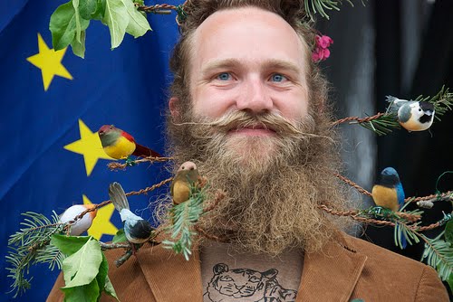 Out and About: Birds and Beards