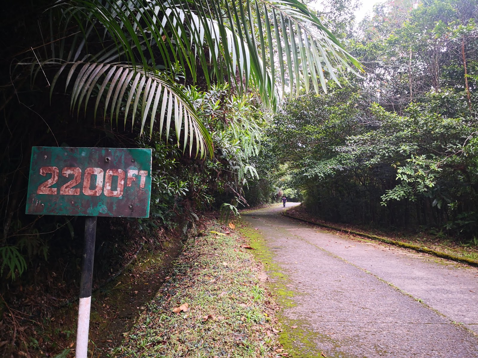 AZLAN RUMADI: HUJUNG MINGGU HIKING DI GUNUNG SERAPI, KUBAH NATIONAL ...