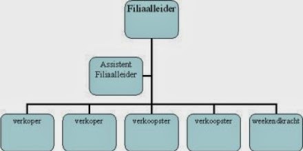 Blog LB: Domein Economisch Hoofdstuk 3, organigram P- en F indeling ...