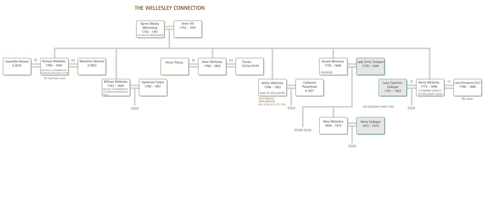 Patrick von Stutenzee's History Blog: Wellingtons Through History