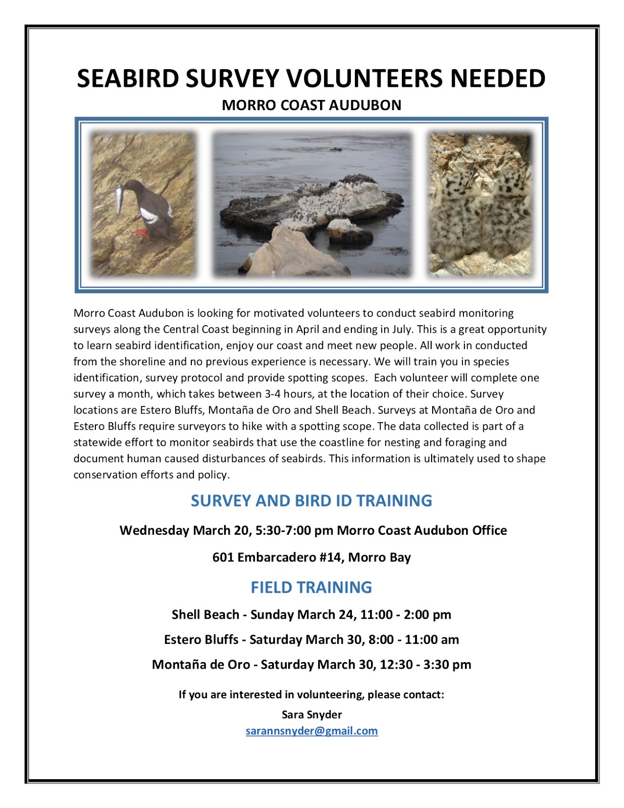2019 Seabird Monitoring Survey ~ Morro Coast Audubon Society