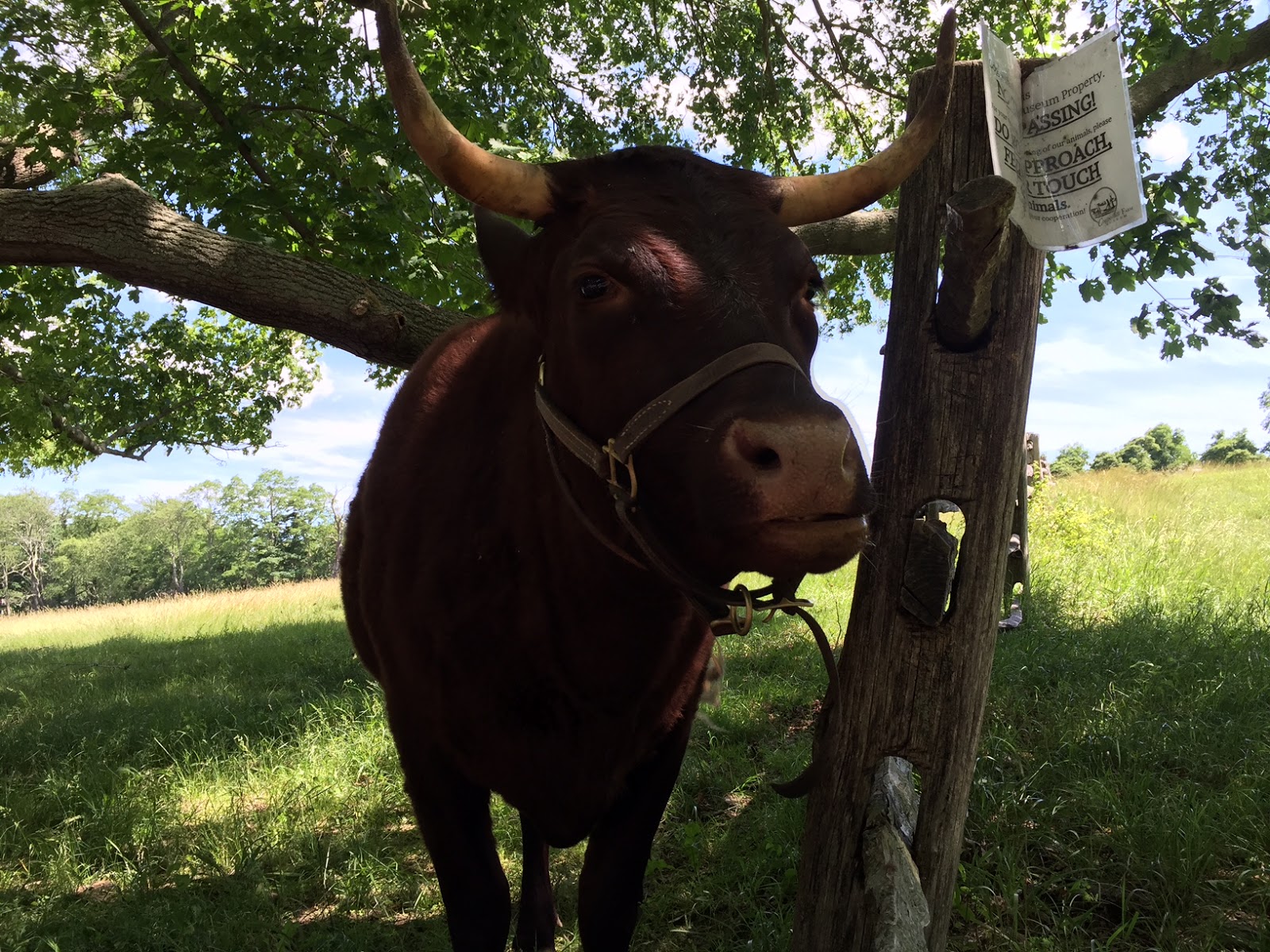 Capturing the Good Times