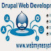 Web Application Development Company India - Webmyne Systems