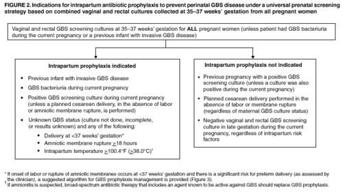 Group B streptococcal infection