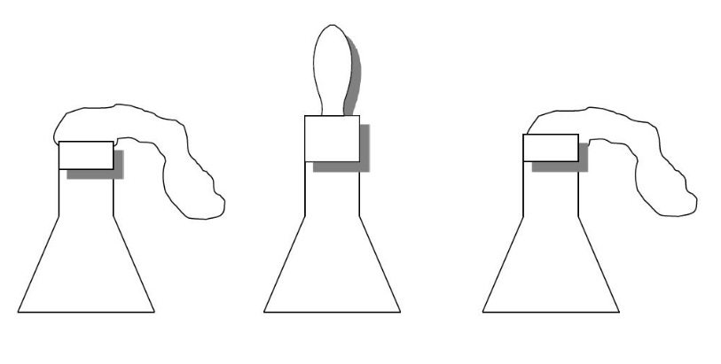 Prácticas del Laboratorio de Quimica: Práctica 10. Conservación de la ...