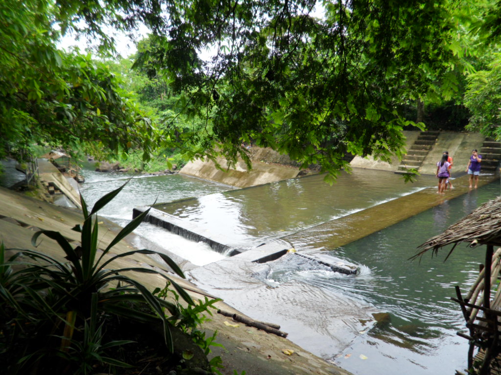 Laguna's Hidden Paradise in Panguil (Panguil River Eco Park)