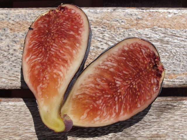 Victoria Fig - Var Tin